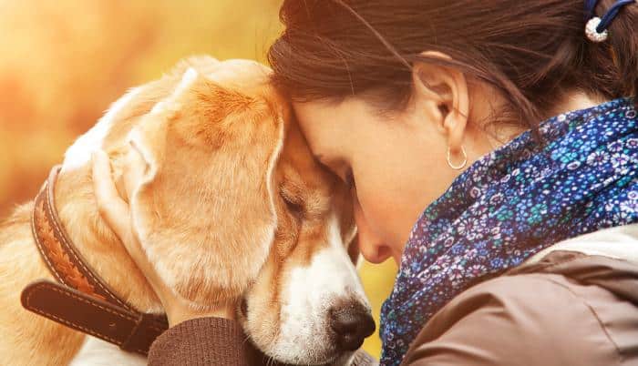 🐾PERPETS - Funeraria para Mascotas