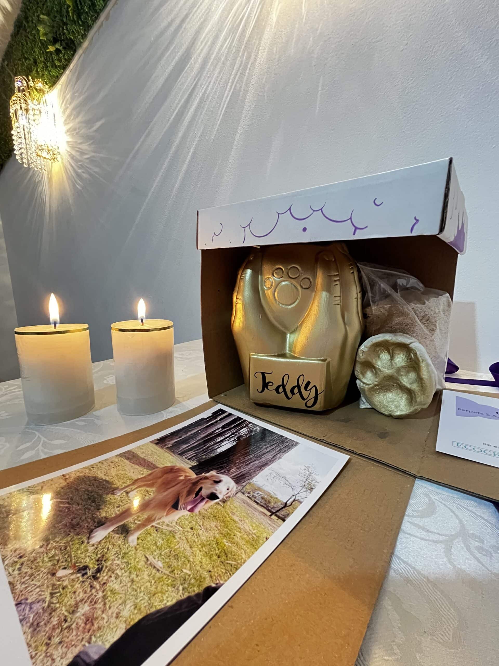 🐾PERPETS - Funeraria para Mascotas